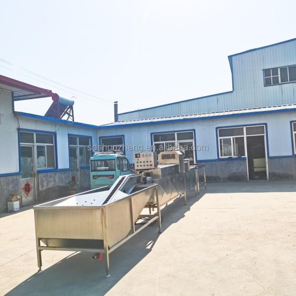 Quality Maisheng Egg Washing Equipment Line Egg Washing Drying Grading Machine Egg Brush for sale
