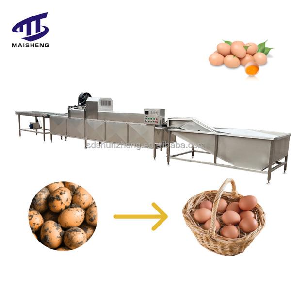 Quality Maisheng Industrial Egg Cleaning Equipment Chicken Egg Shell Cleaner Egg Brush Washer Processing Line for sale