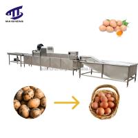 Quality Maisheng Egg Washing equipment Egg Cleaning Machine Eggs Wash Air Drying for sale