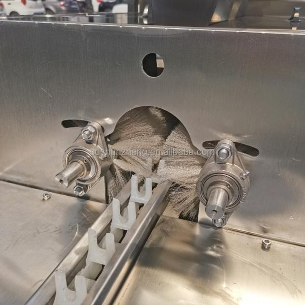 Quality Maisheng Egg Washing equipment Egg Cleaning Machine Eggs Wash Air Drying for sale