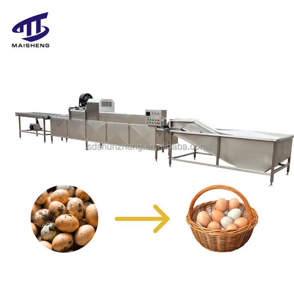 Quality Automatic Egg White and Egg Cleaner Machine for Washing and Drying Food Processing Machinery Part for sale