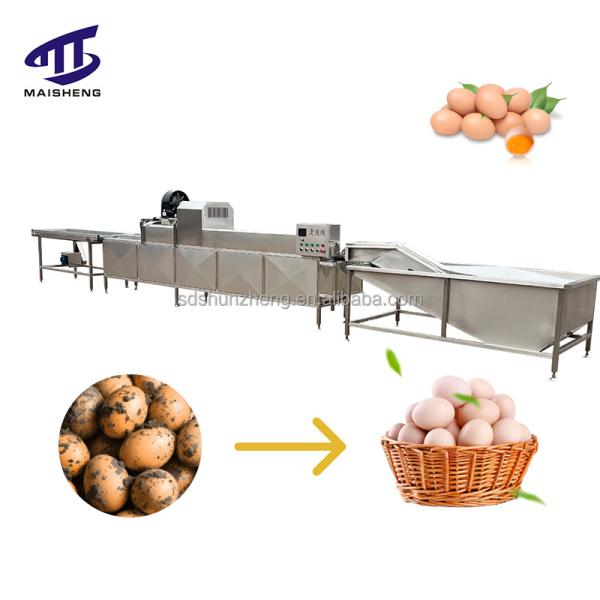 Quality Durable Duck Egg Washing Machine Selective Egg Cleaning Equipment at Prices Food Processing Machinery Part for sale