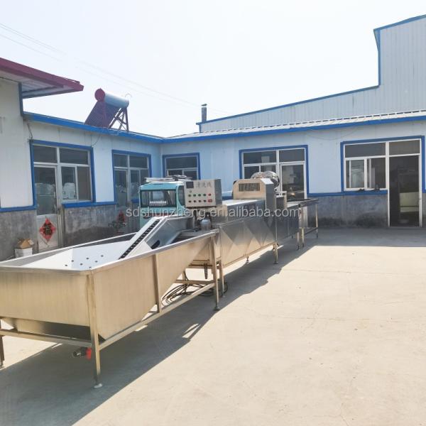 Quality Durable Duck Egg Washing Machine Selective Egg Cleaning Equipment at Prices Food for sale