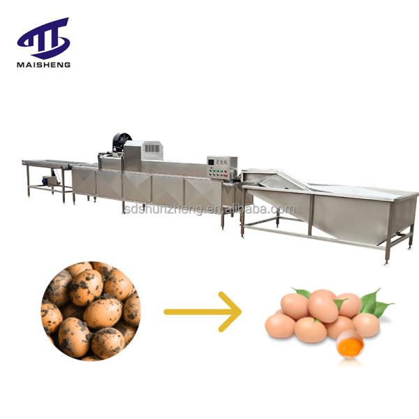 Quality High-Efficiency Egg Processing Equipment White and Yolk Manufacturing Machinery for Egg Washing Line Food Processing for sale