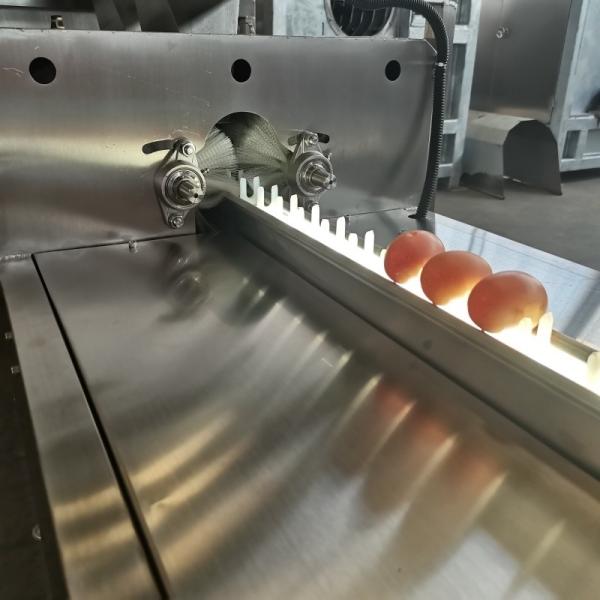 Quality High-Efficiency Egg Processing Equipment White and Yolk Manufacturing Machinery for sale
