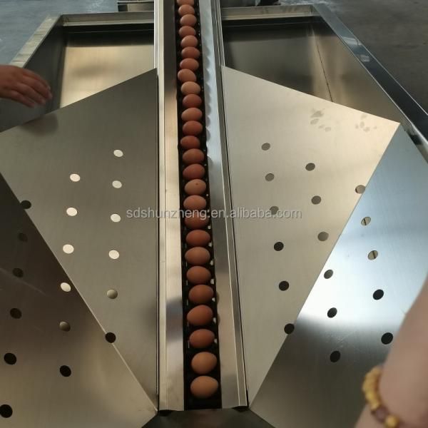 Quality Custom Logo Egg Washing Air Drying Production Line Steel 304 Stainless Steel for sale