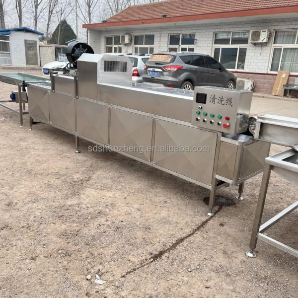 Quality Custom Logo Egg Washing Air Drying Production Line Steel 304 Stainless Steel for sale