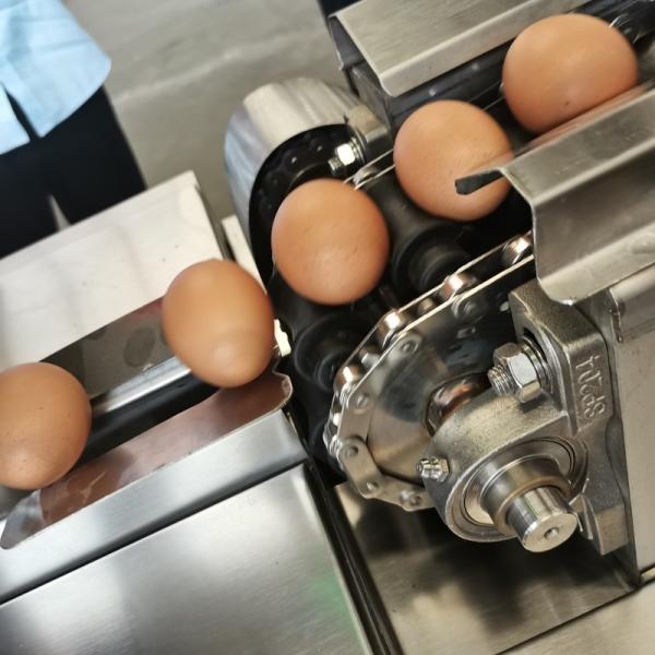 Quality New User-Friendly Steel Egg Washing Air Drying Production Line Equipment for for sale