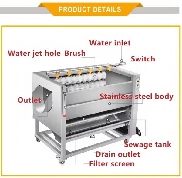 Quality Multi-Functional Industrial Carrot Cleaning Peeler Beetroot Washing Peeling for sale