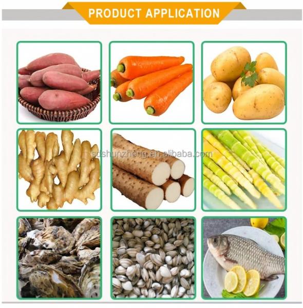 Quality Multi-Functional Industrial Carrot Cleaning Peeler Beetroot Washing Peeling for sale