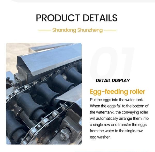 Quality High Efficiency Egg Washer and Dryer Line Egg Drying Machine Chicken Eggs for sale