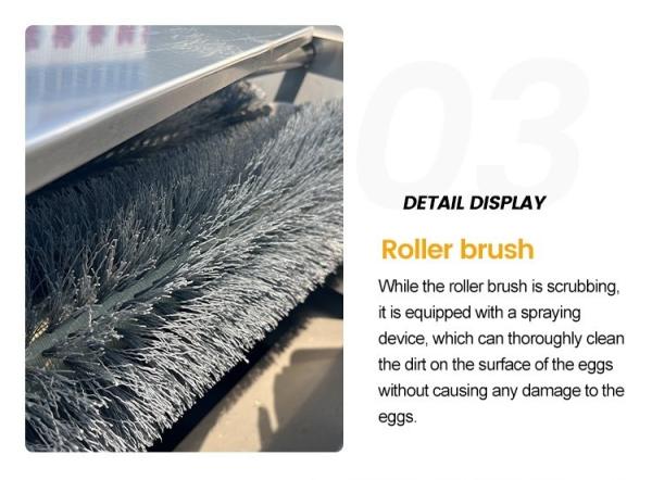 Quality High Efficiency Egg Washer and Dryer Line Egg Drying Machine Chicken Eggs for sale