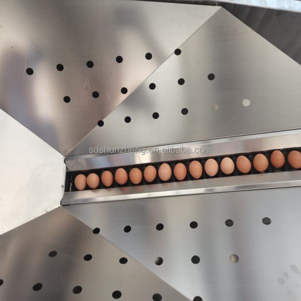 Quality Automatic Industrial Egg White Yolk Separating Processing Line Efficient Egg for sale