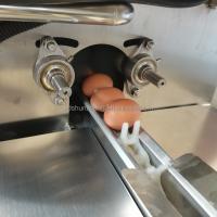 China Automatic Industrial Egg White Yolk Separating Processing Line Efficient Egg Washing Drying Machinery for Meat for sale