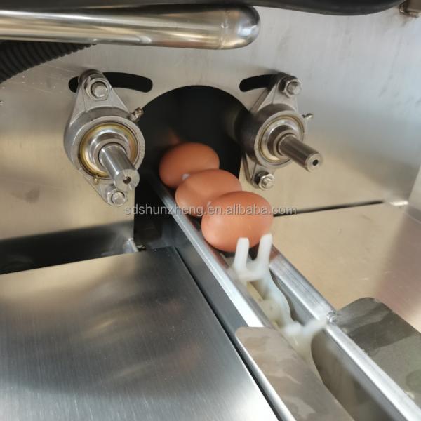 Quality Automatic Industrial Egg White Yolk Separating Processing Line Efficient Egg for sale