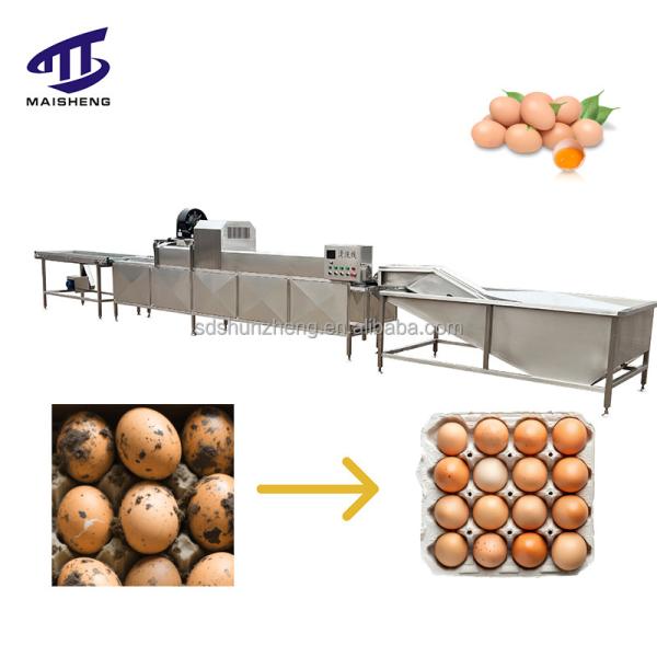 Quality Efficient Industrial Equipment Automatic Egg White Yolk Separator Egg Washing & for sale