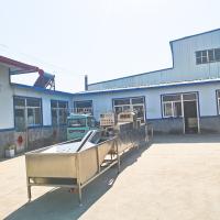 China Efficient Industrial Equipment Automatic Egg White Yolk Separator Egg Washing & Drying Processing Line for Meat for sale