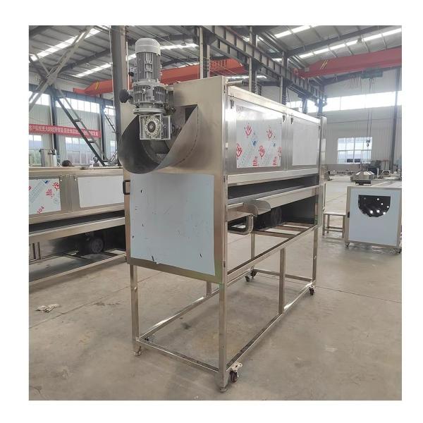 Quality High Quality Electric High Quality Potato Washing and Peeling Machine for for sale