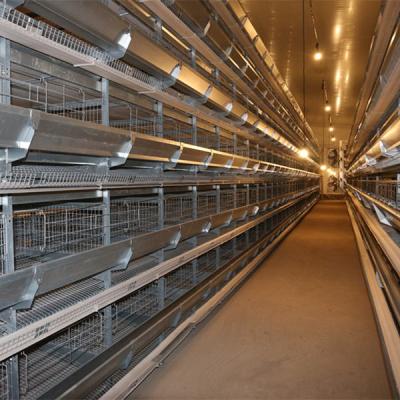 Cina Pollaio d'acciaio a prova di fuoco GB dell'azienda agricola leggera della struttura d'acciaio in vendita
