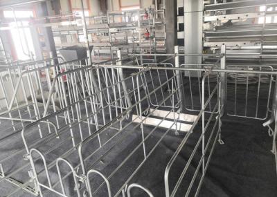 Cina La Camera di maiale prefabbricata fabbricata della struttura d'acciaio ha galvanizzato l'industriale in vendita