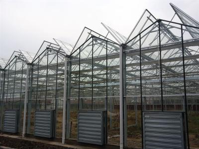 China Venluo Sightseeing Glass Greenhouse - Large-scale Vegetable Planting Greenhouse for sale