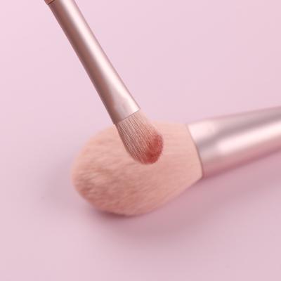 Cina Le spazzole rosa adorabili di trucco di viaggio hanno messo i capelli sintetici 11pcs lisci in vendita