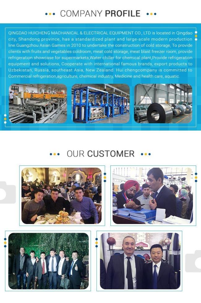 Customized Size Cold Room Auto Electric Sliding Door