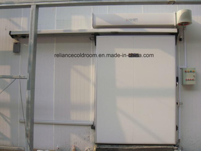 Customized Size Cold Room Auto Electric Sliding Door