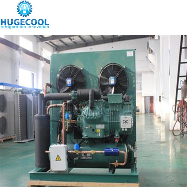 Ice-Cream and Frozen Foods Freezing Chamber Cold Storage Room