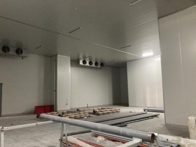 Commercial Walk in Freezer Deep Blast Frozen Freezer Sliding Door Low Temperature Refrigeration Condensing Unit