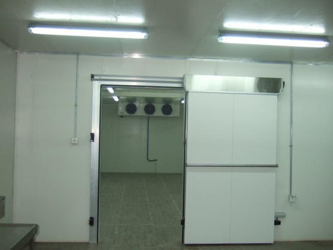 New Design Meat Fish Chicken Cold Storage Room Blast Freezer for Sale
