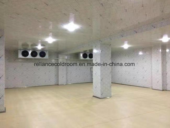 Logistics Vegetables Meat Fruits Cold Room