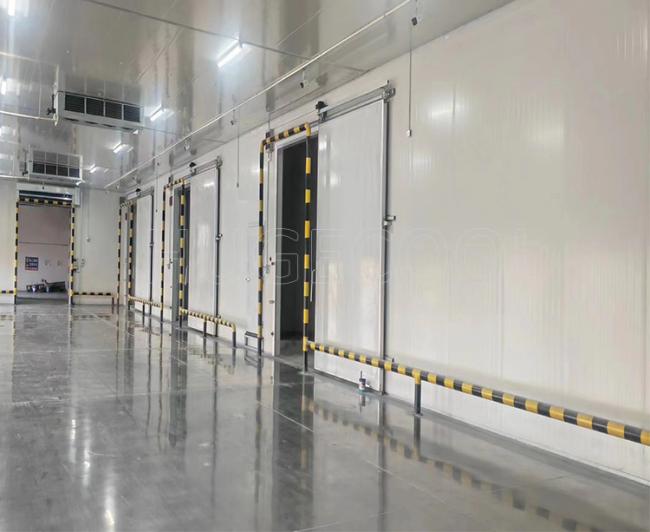 Logistics Warehouse Logistics Cold Room for Vegetables Meat Fruits