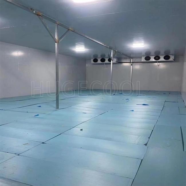 Cold Room Freezer and Cooler Room with Refrigeration System