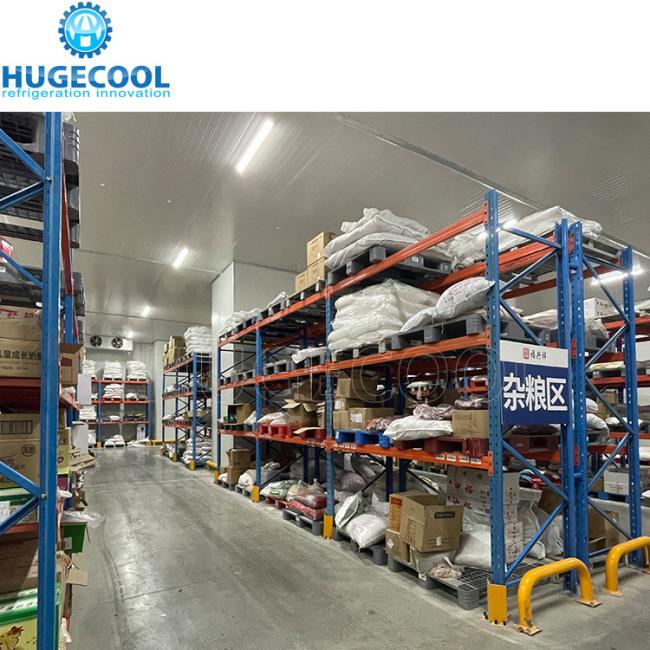 Cold Storage Room for Frozen Fish and Seafood