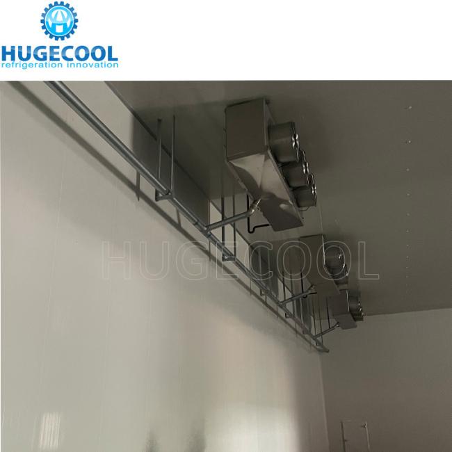 Cold Storage Room for Frozen Fish and Seafood