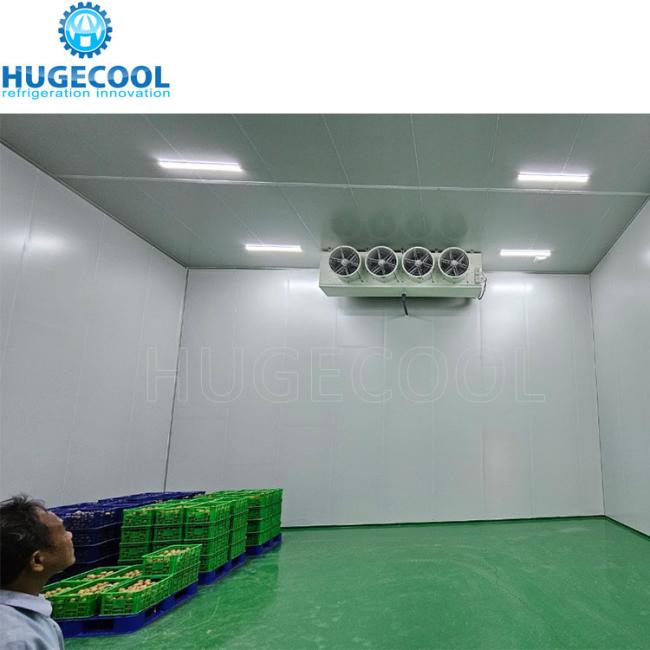 Supermarket Freezer Room Container Cold Room with Refrigeration Unit