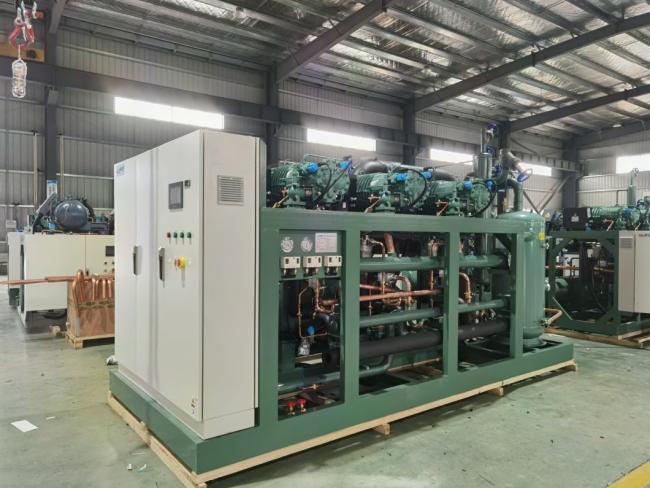 Supermarket Freezer Room Container Cold Room with Refrigeration Unit