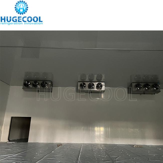 Onion Storage Room Cooler Room with Rack Condensing Unit