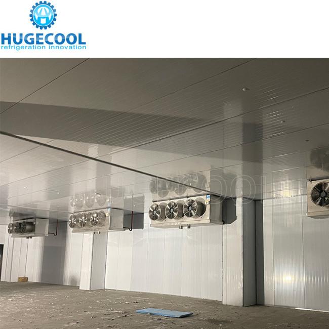 Onion Storage Room Cooler Room with Rack Condensing Unit