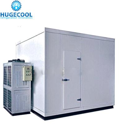 Cina Lo stoccaggio a freddo a temperatura su misura viene utilizzato per conservare merci in vendita