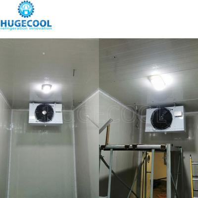 China Cost-effective cold storage for ice cream for sale