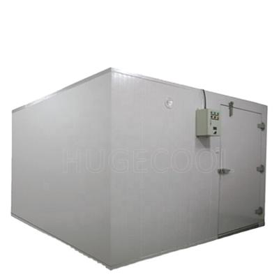 China Easy to install cost-effective walk in chiller for sale