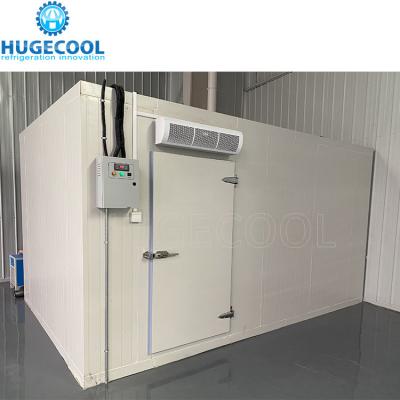 China walk-in freezer room for seafood fish meat chicken beef storage with copeland compressor for sale