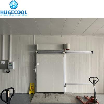 China walk-in freezer room for seafood fish meat chicken beef storage with copeland compressor for sale