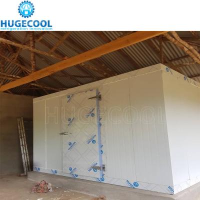 China Gas station cold room refrigeration unit with PU panels for sale
