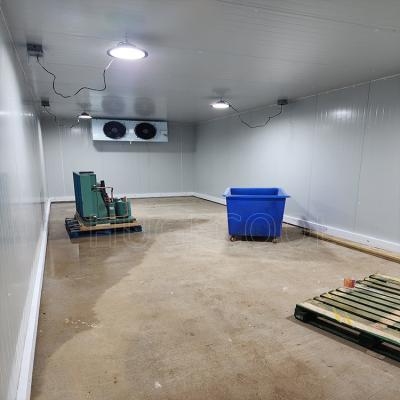 Китай Прогулка в холодильном помещении с электрическим холодильным оборудованием продается