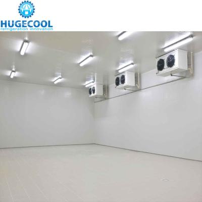 China Large High Density Polyurethane Panel Cold Room for Meat and Fish Assembled Structure for sale