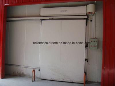 China Standard Manual Sliding Door for Cold Room Freon Refrigerant and Customization Option for sale