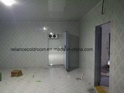 China ISO Certified Agriculture Cold Storage Room PU1009810 for Optimal Temperature Control for sale